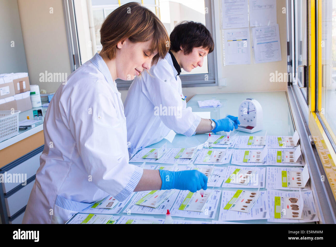 Hemoccult test in laboratory Stock Photo - Alamy