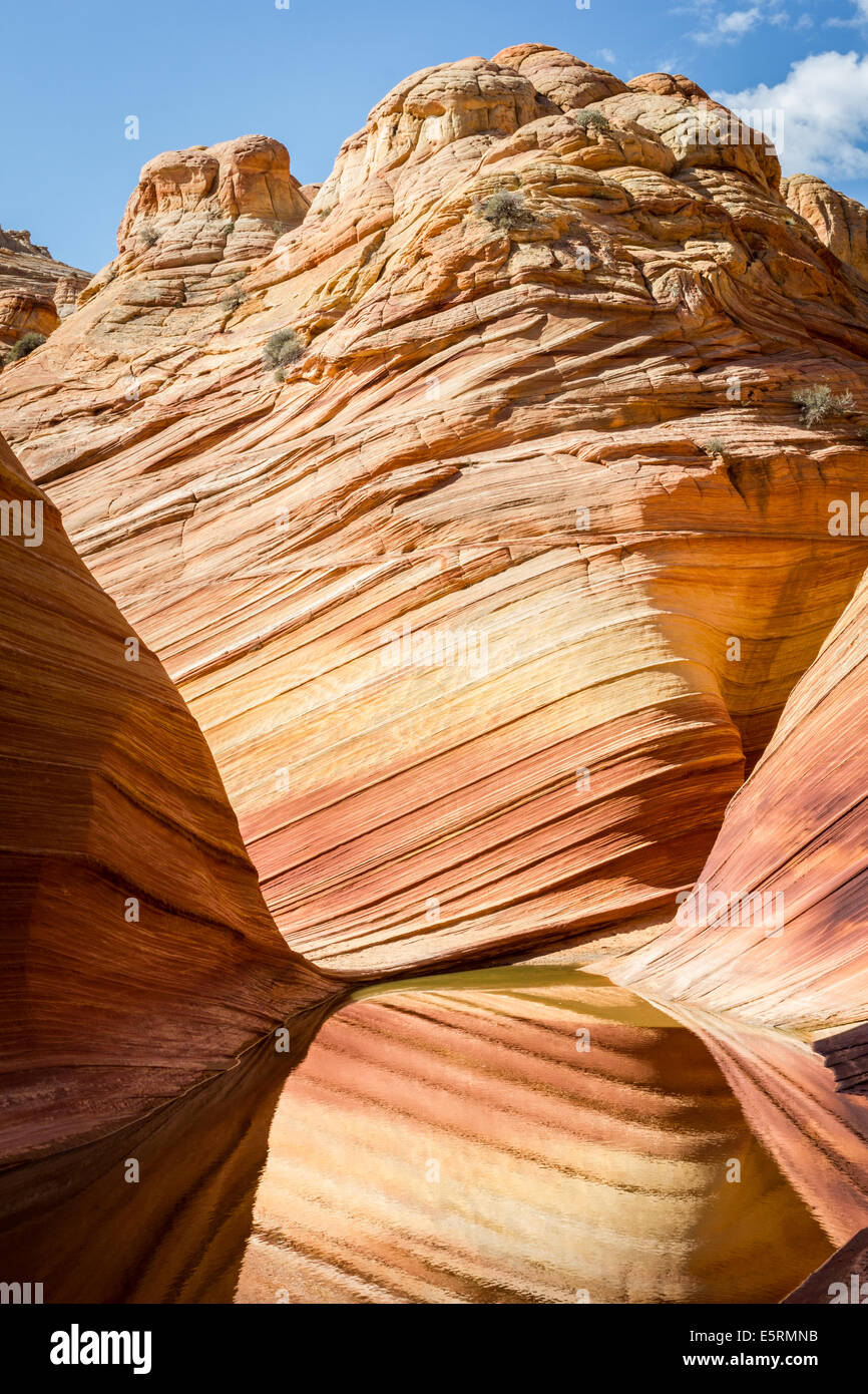 The Wave, Arizona. Amazing flowing rock formation in the rocky desert ...