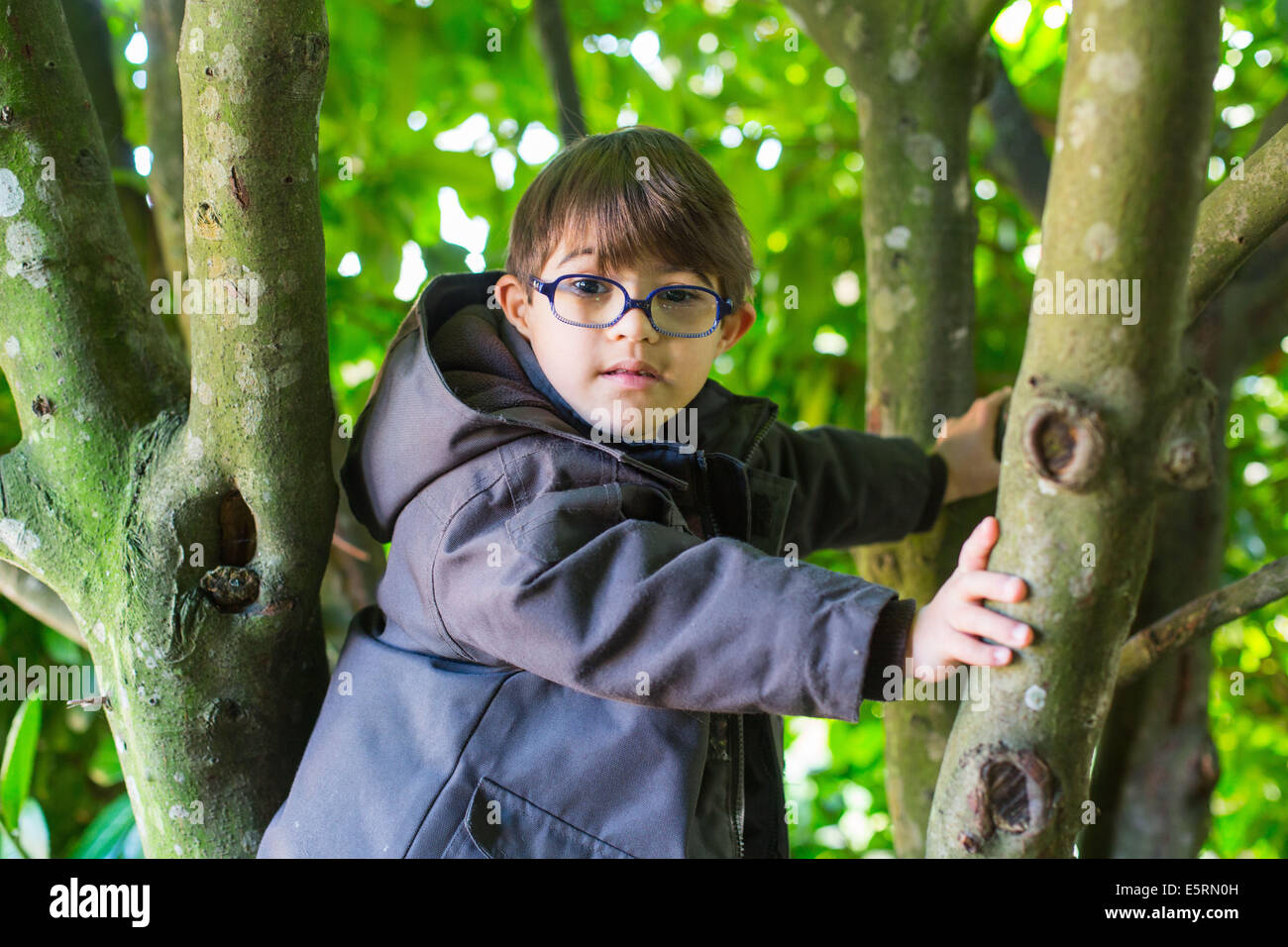 7 year old boy with Down's syndrome Stock Photo - Alamy