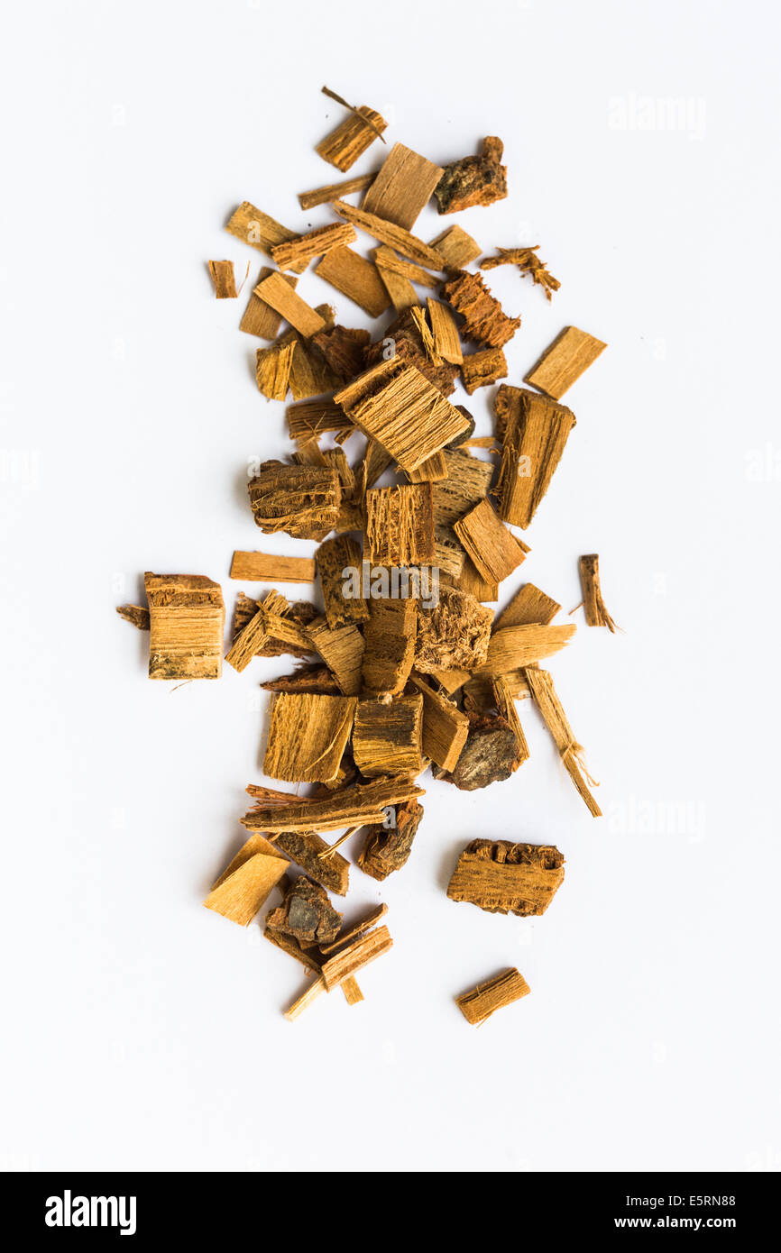 Sapwood hi-res stock photography and images - Alamy