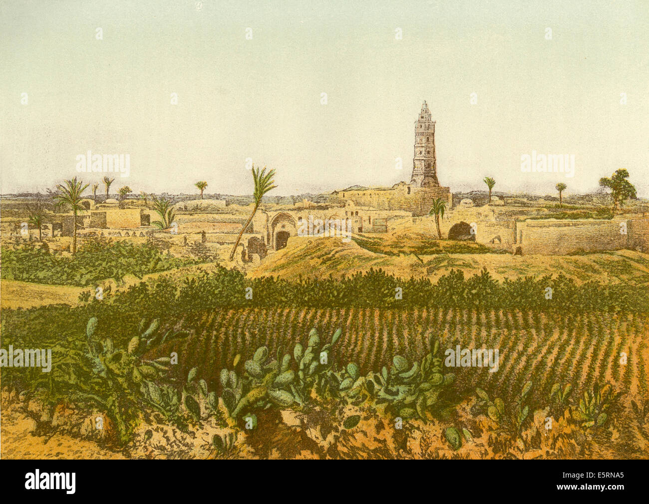 Gaza old town city palestine hi-res stock photography and images - Alamy