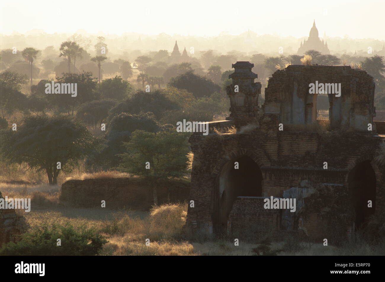 Irrawaddy pyi hi-res stock photography and images - Alamy