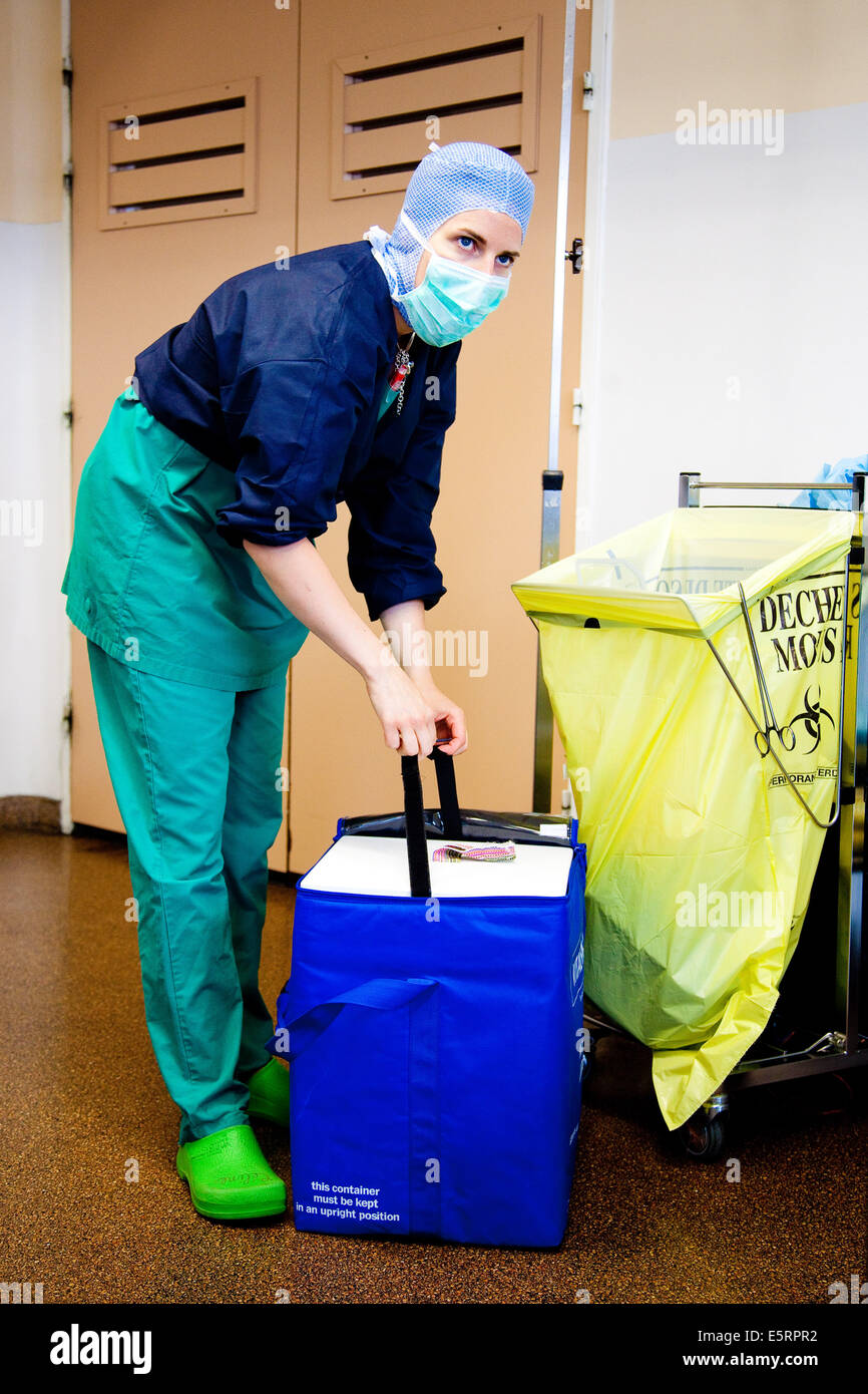 Partial removal of a liver from a living donor by laparoscopy for a ...