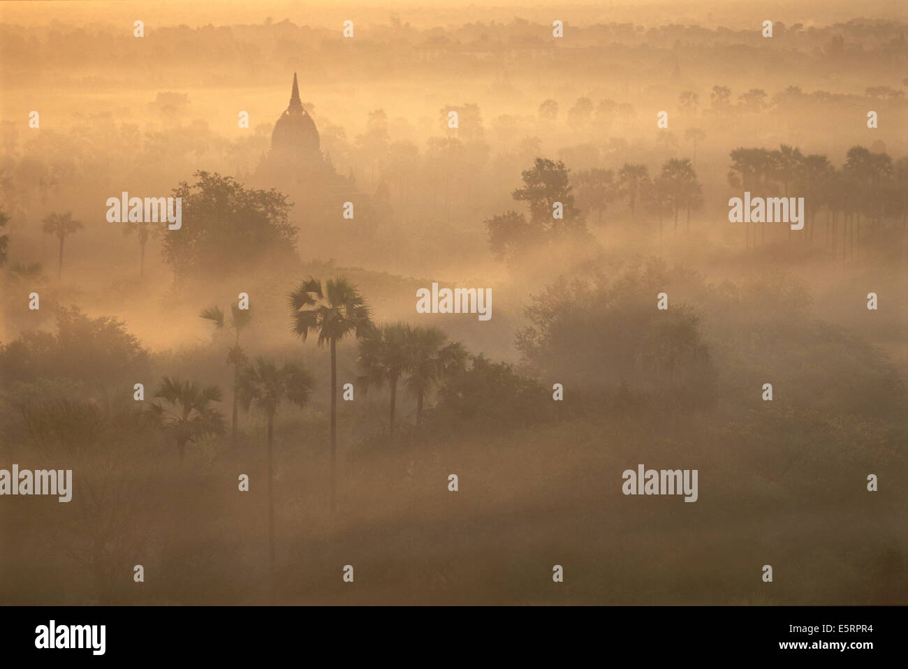 Pagan plains. Burma Stock Photo - Alamy