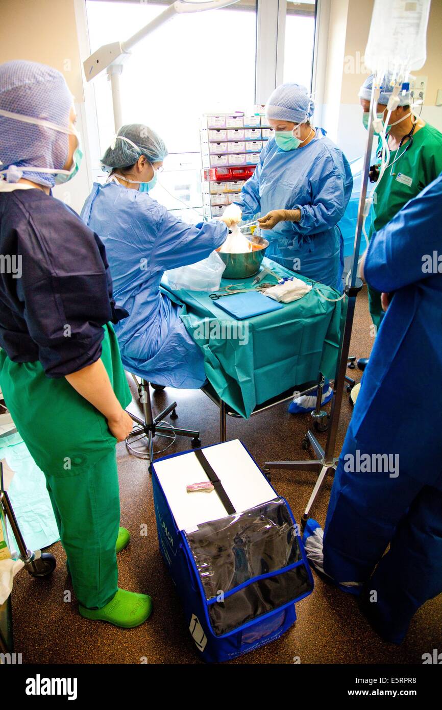 Partial removal of a liver from a living donor by laparoscopy for a ...