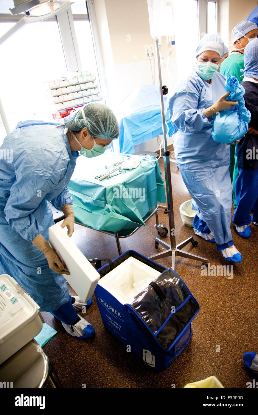 Partial removal of a liver from a living donor by laparoscopy for a ...