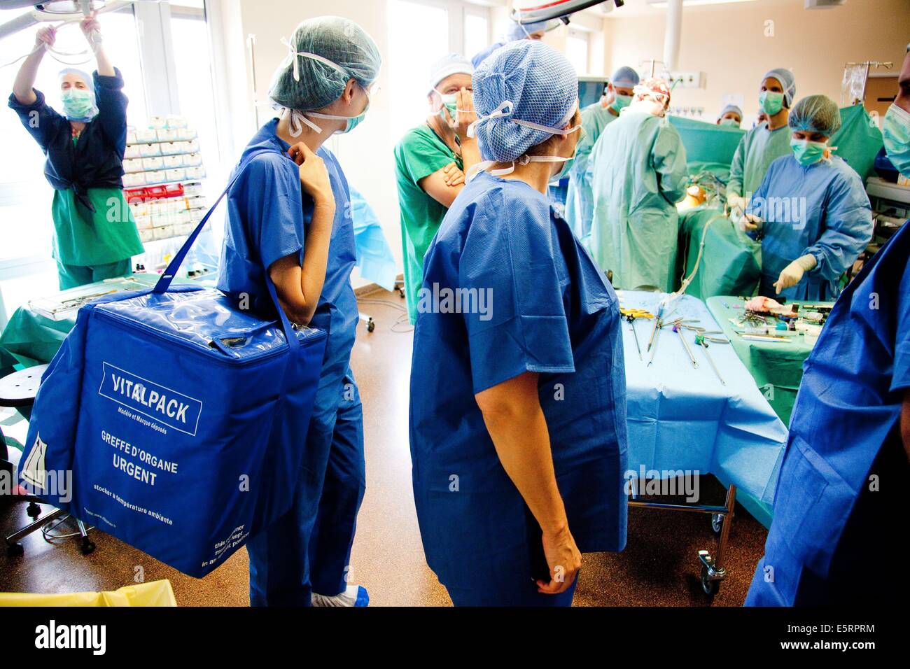 Organ transplant operation hi-res stock photography and images - Alamy