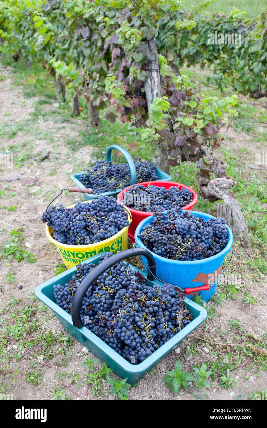 Past harvest hi-res stock photography and images - Alamy