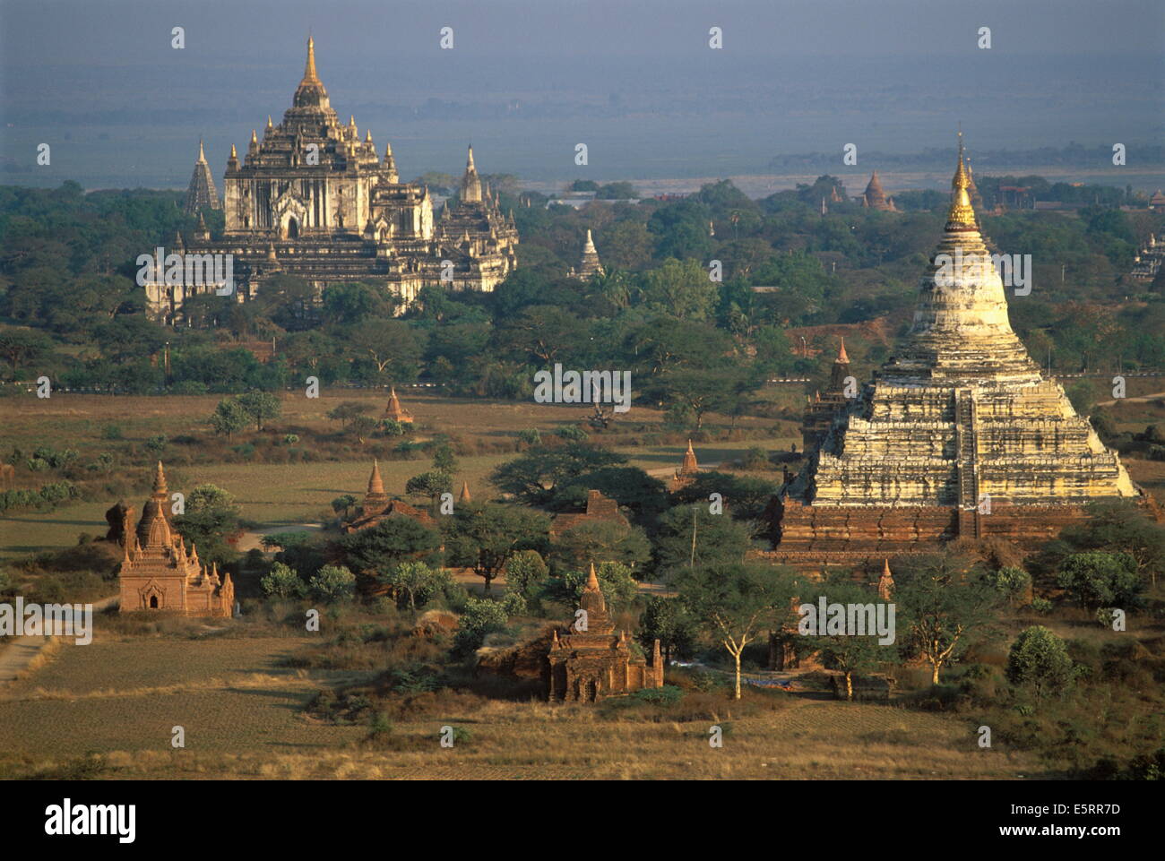 Shwesandaw and Thatbyinnyu, Pagan, Burma Stock Photo - Alamy