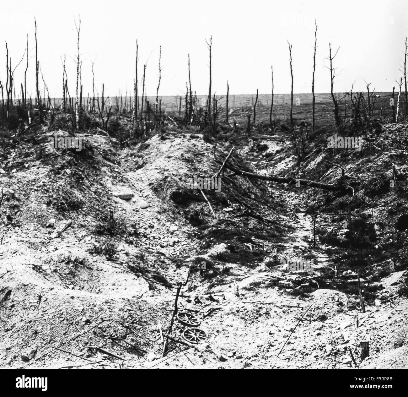 Wwi trenches hi-res stock photography and images - Alamy
