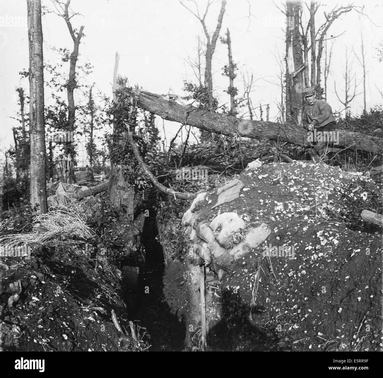 French trench in 1917, Somme, France Stock Photo - Alamy