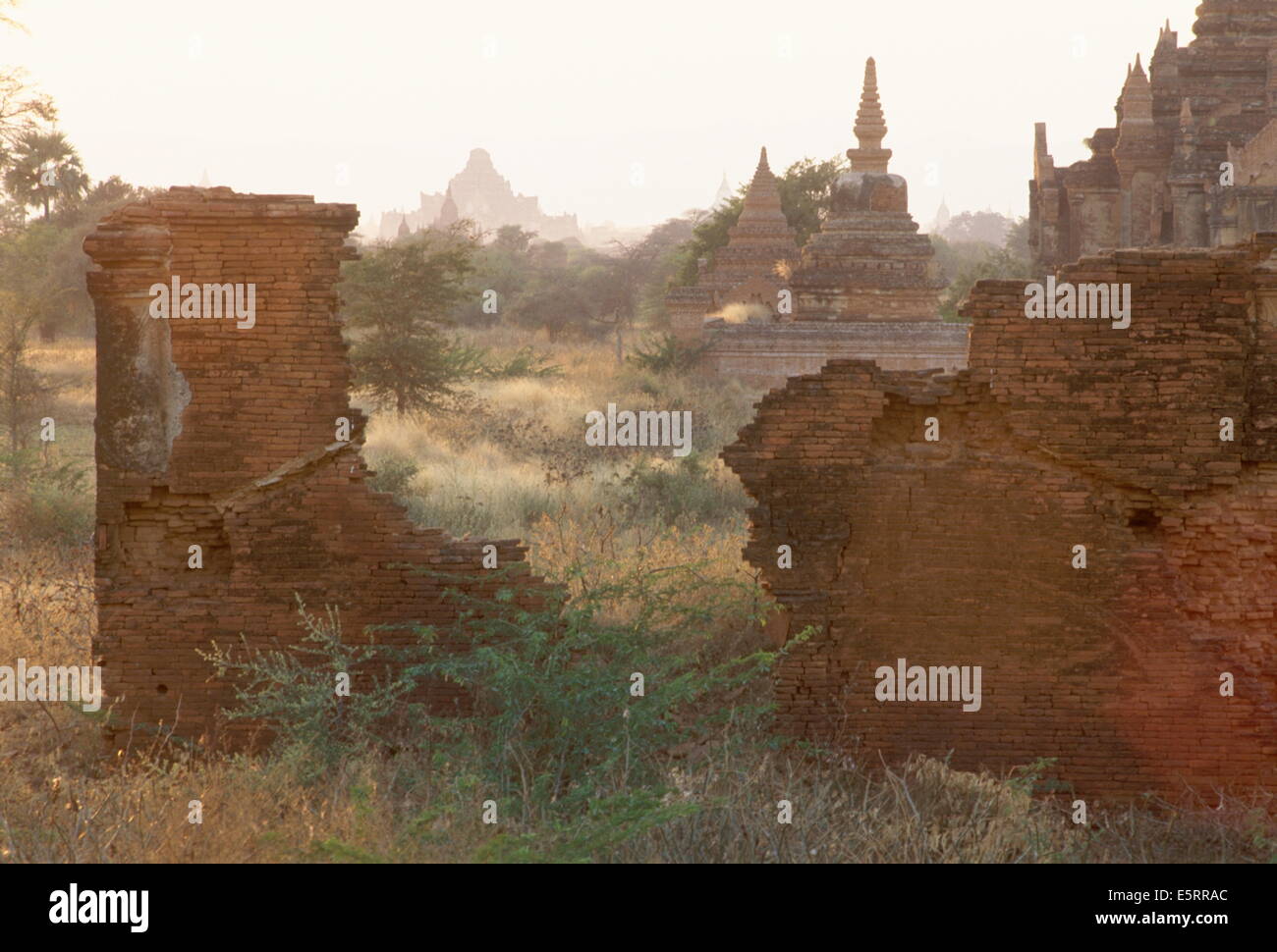 Leymyethna, Pagan, Burma Stock Photo - Alamy