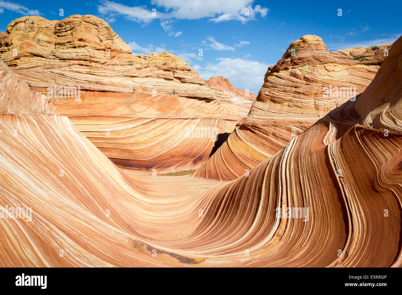 The Wave, Arizona. Amazing flowing rock formation in the rocky desert ...