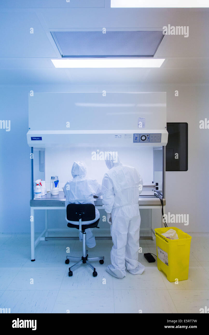 Preparation of a skin donation in a cleanroom before preservation, cell ...