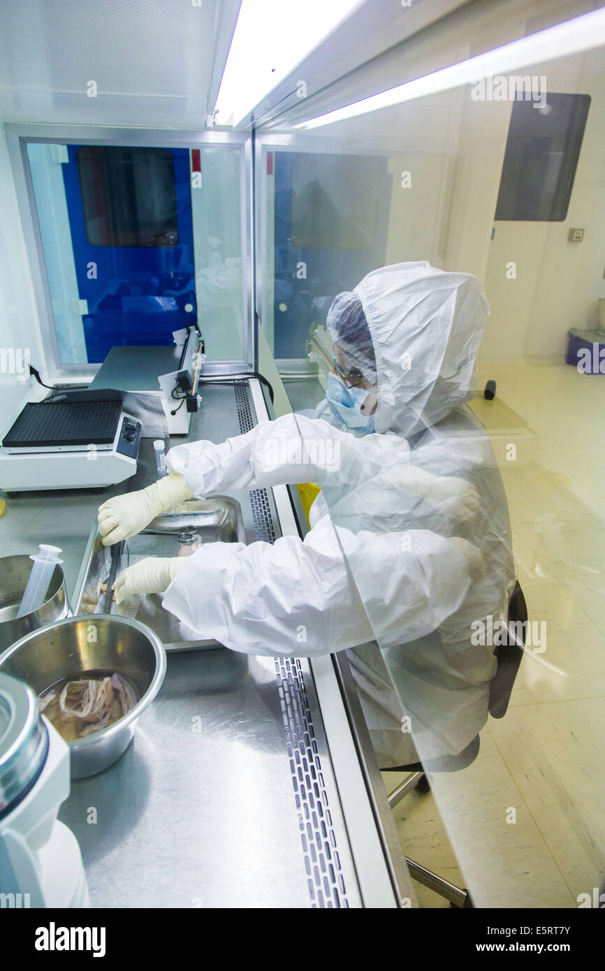 Preparation of a skin donation in a cleanroom before preservation, cell ...