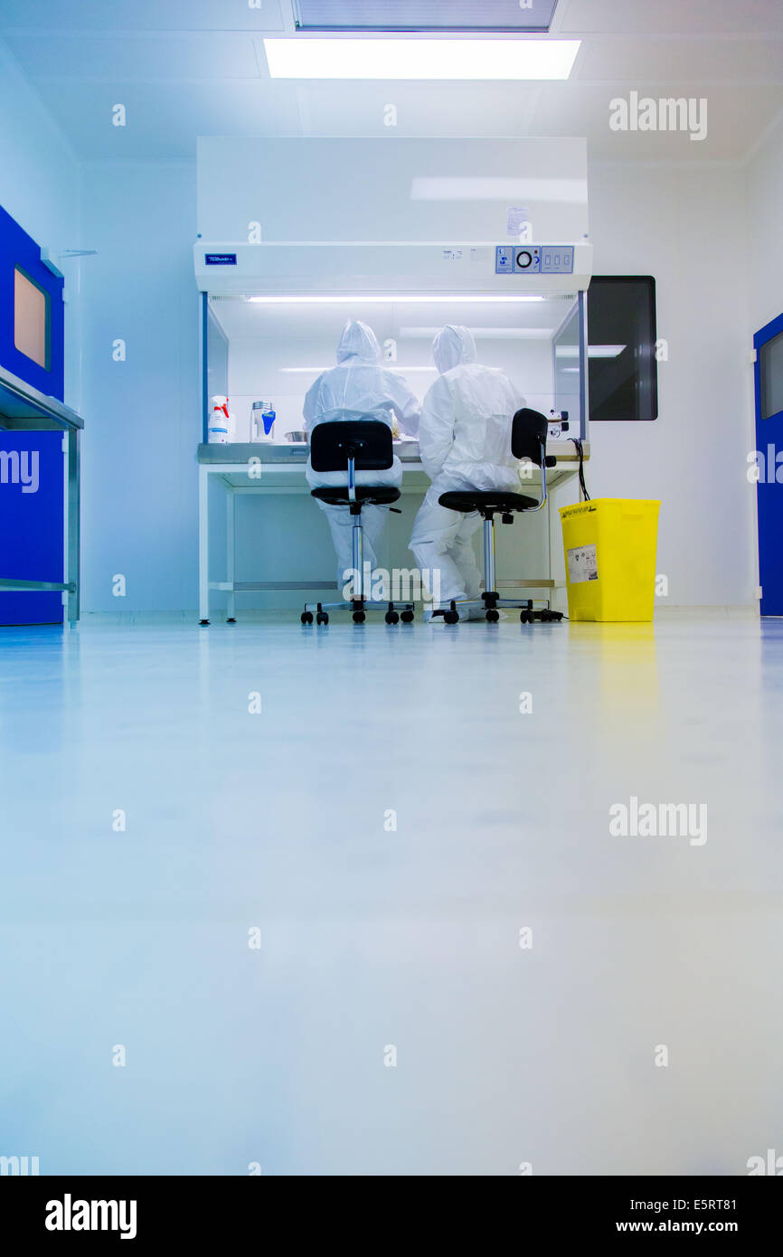 Preparation of a skin donation in a cleanroom before preservation, cell ...