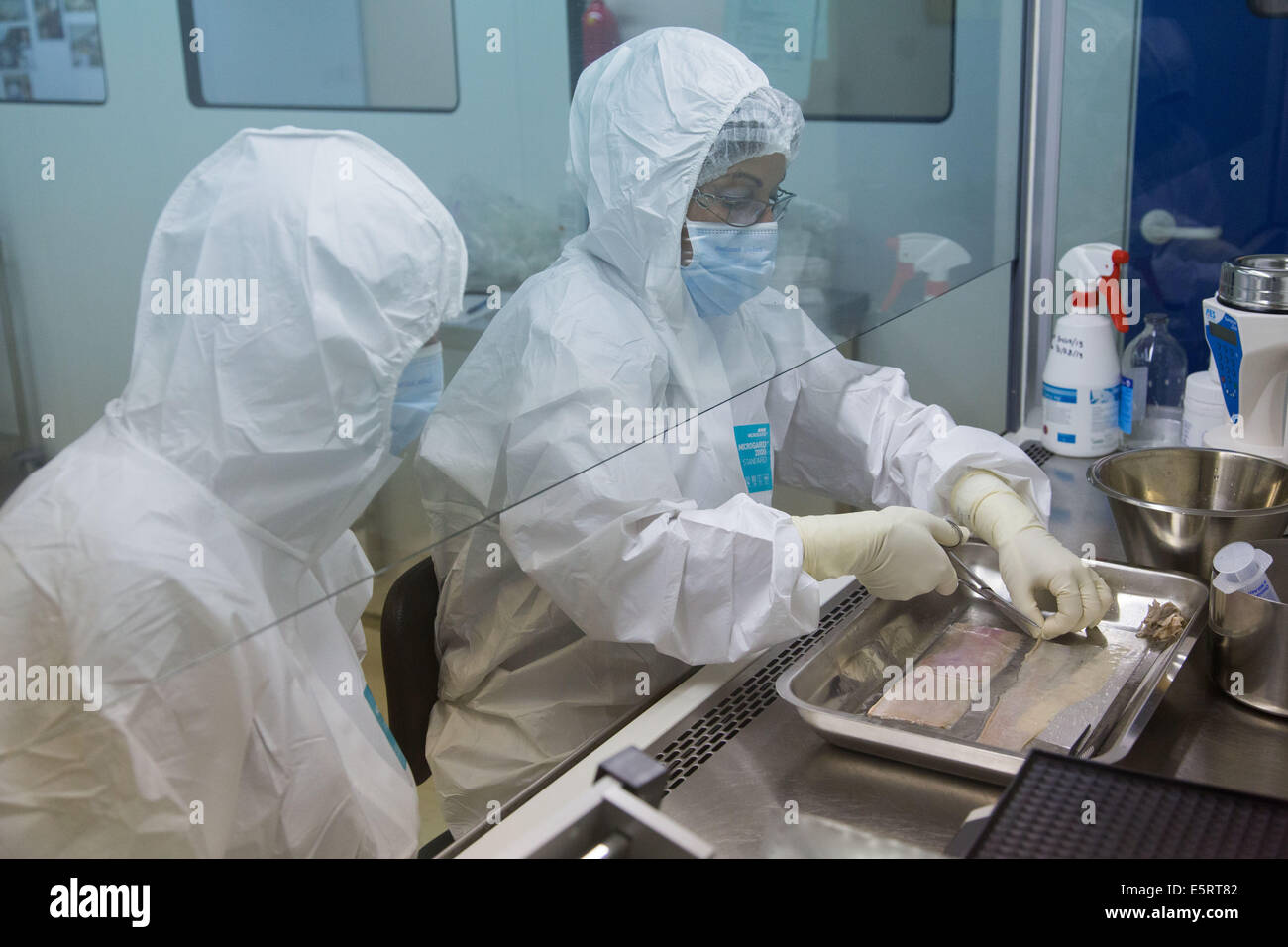 Preparation of a skin donation in a cleanroom before preservation, cell ...