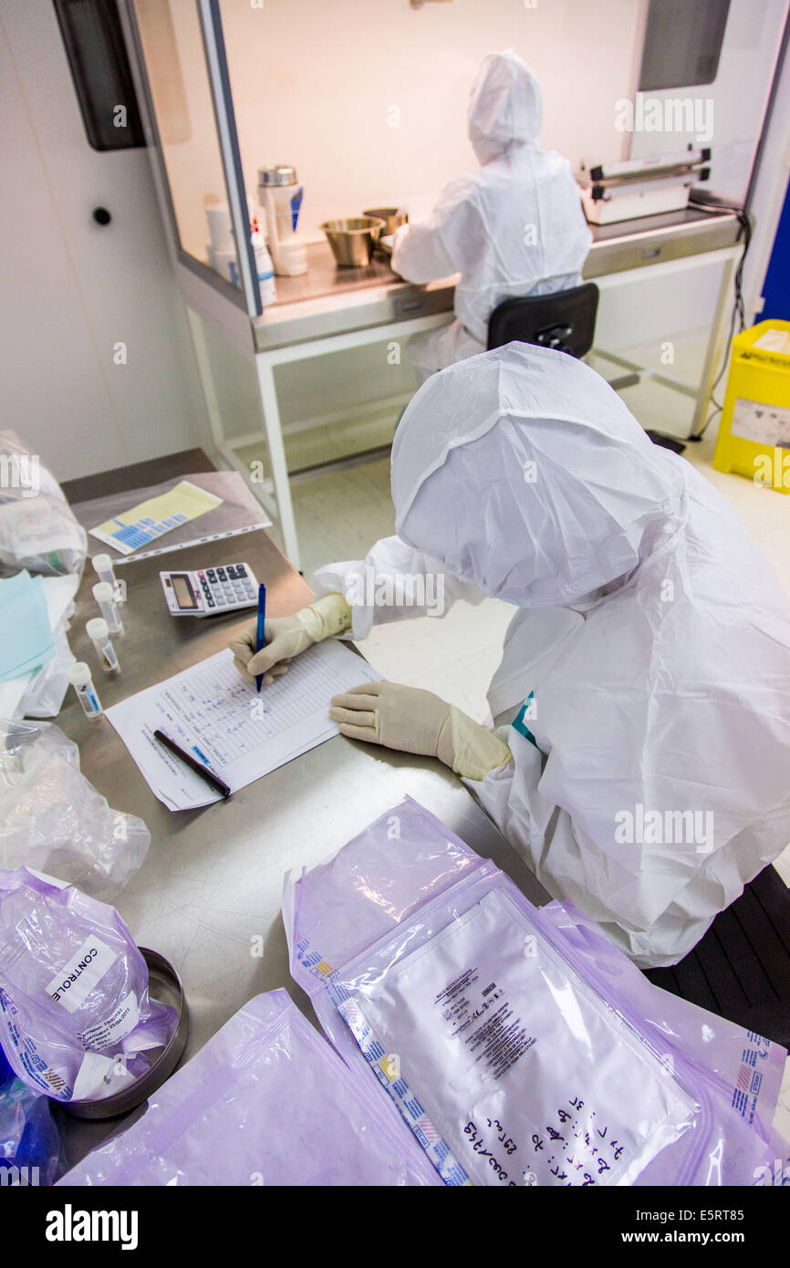 Preparation of a skin donation in a cleanroom before preservation, cell ...