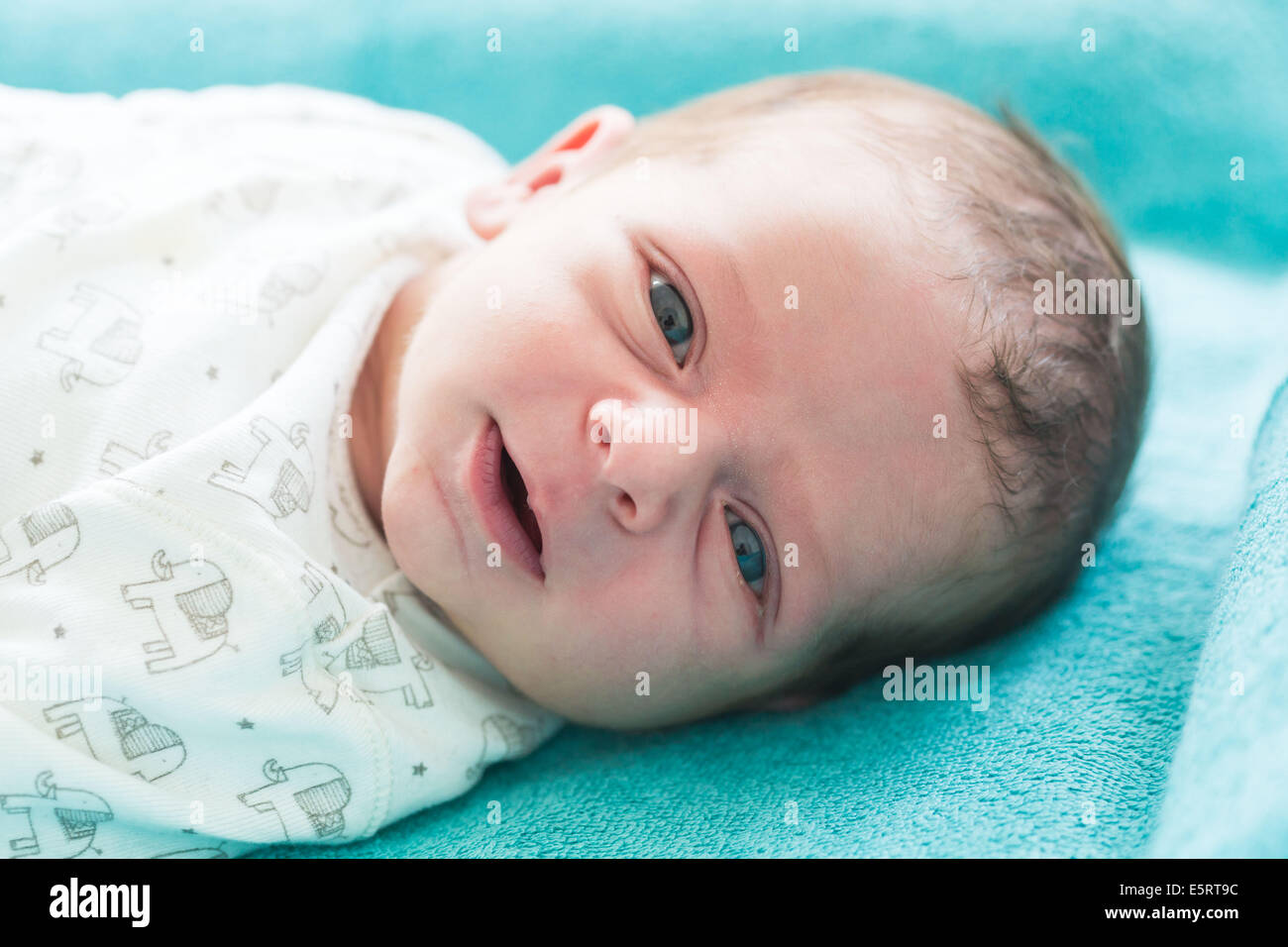 Two week old baby boy Stock Photo - Alamy