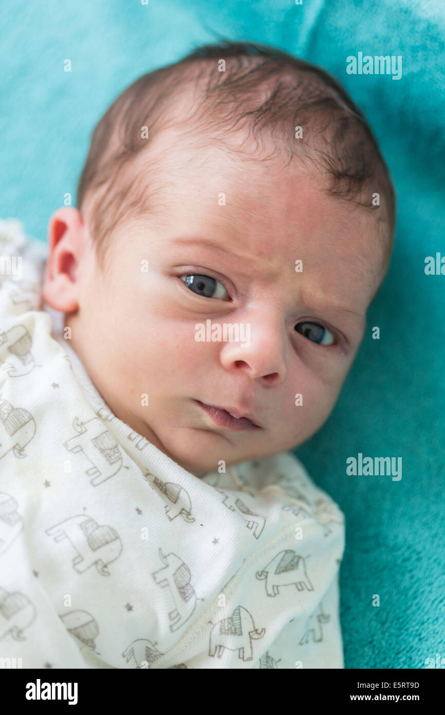 Two week old baby boy Stock Photo - Alamy