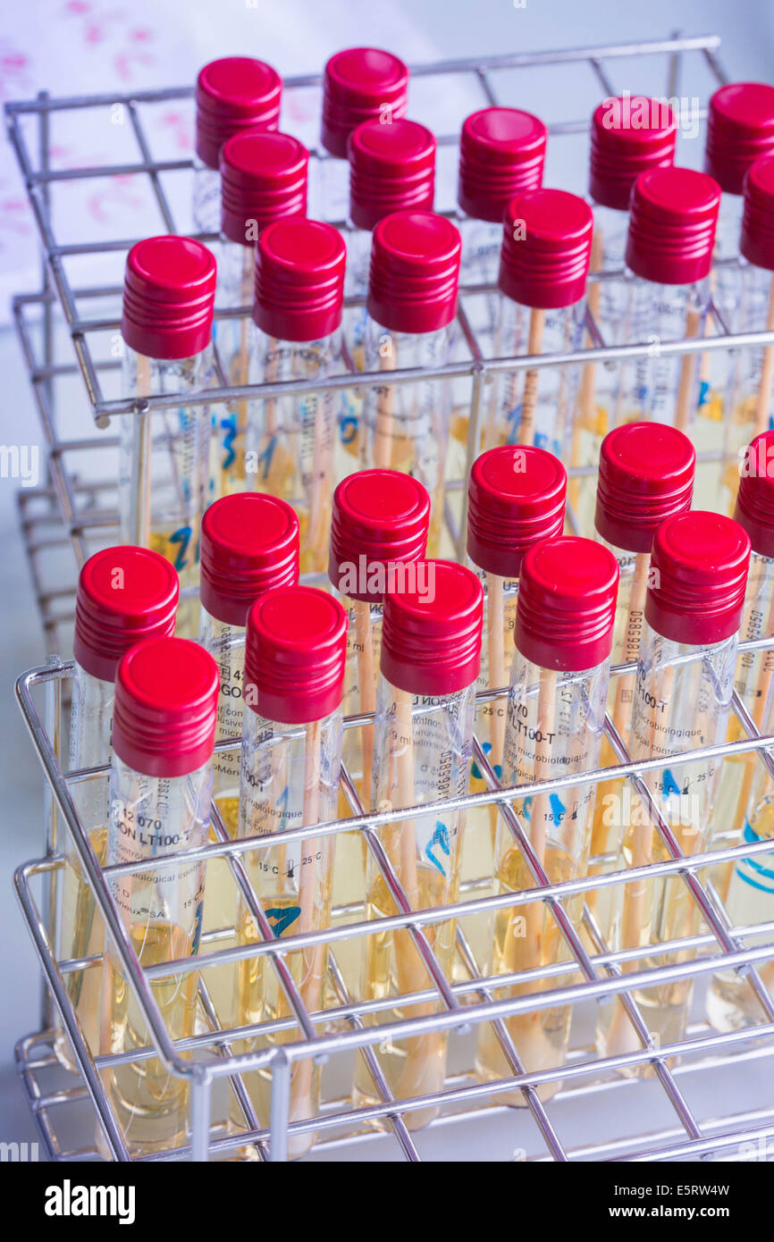 Limoges hospital laboratory Stock Photo - Alamy