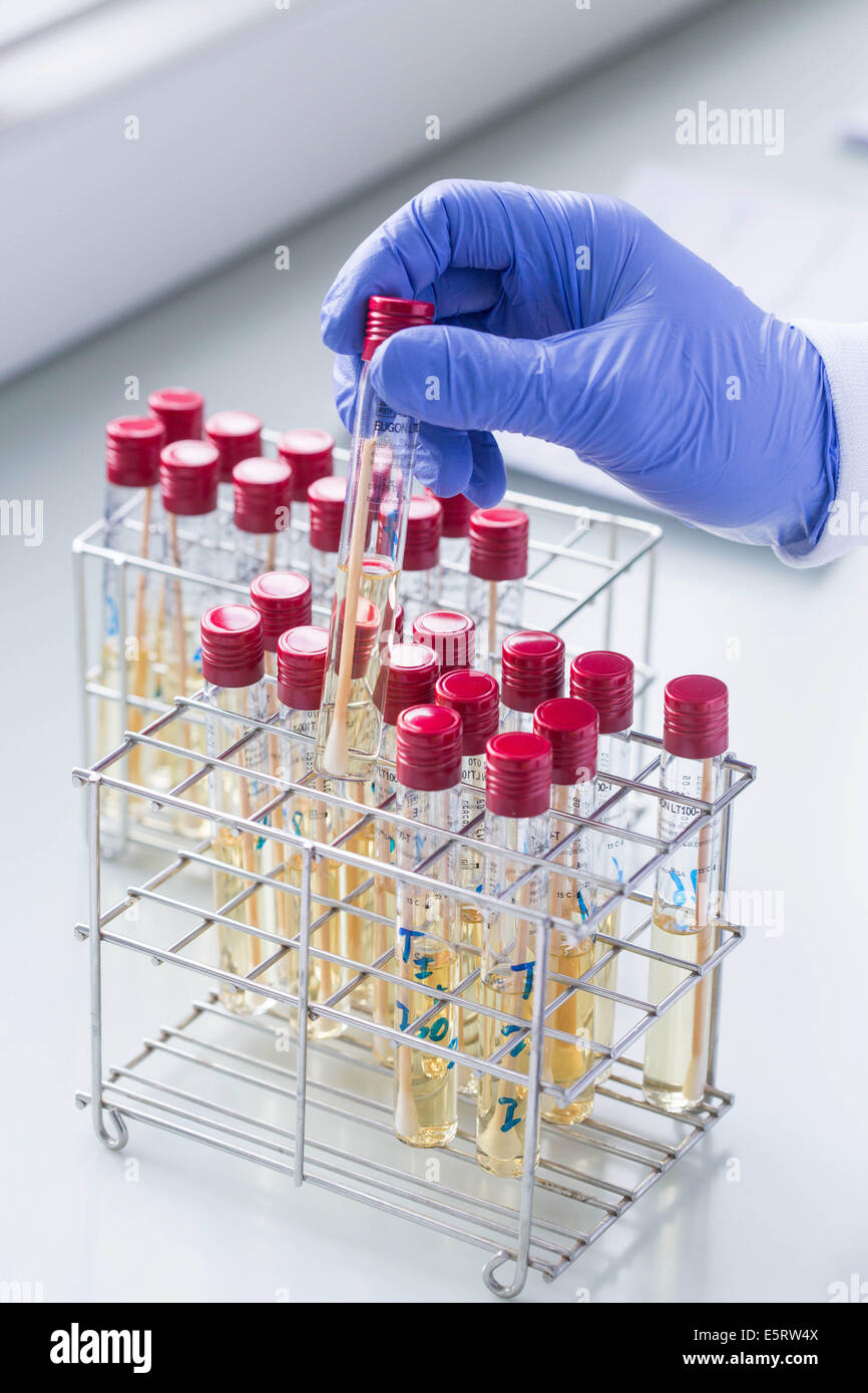 Limoges hospital laboratory Stock Photo - Alamy