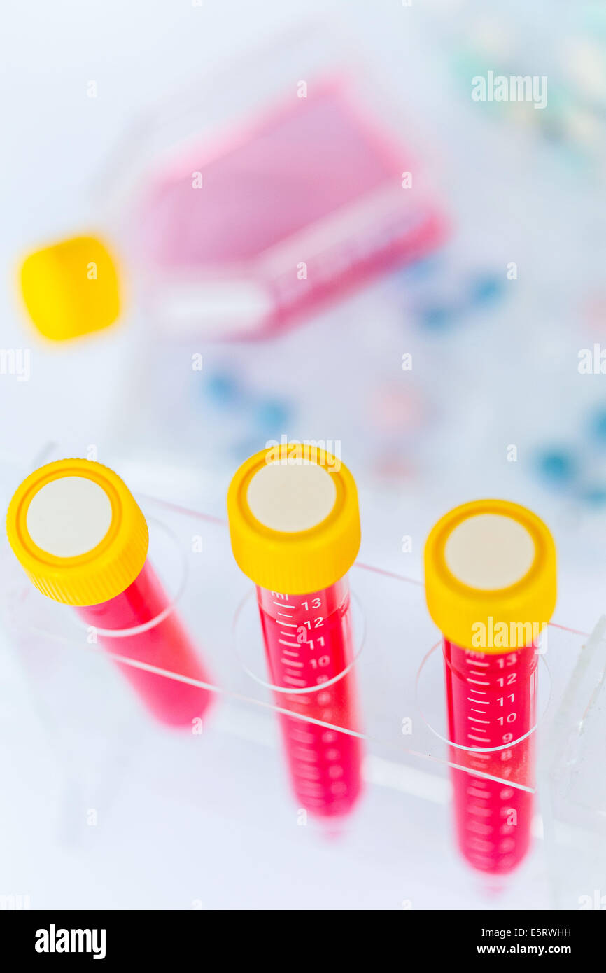 Test tube in a research laboratory Stock Photo - Alamy