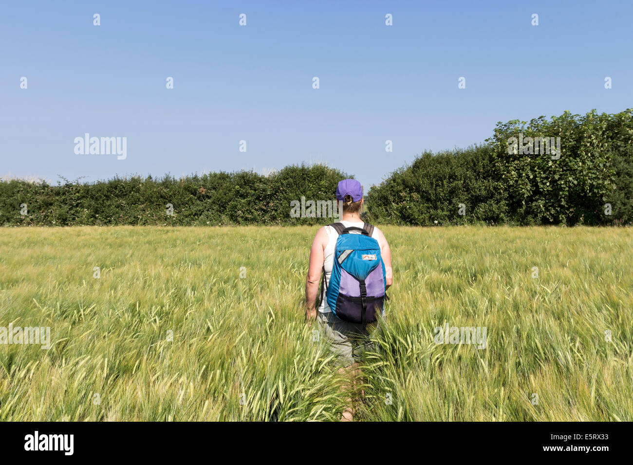 Footpath through farm hi-res stock photography and images - Alamy