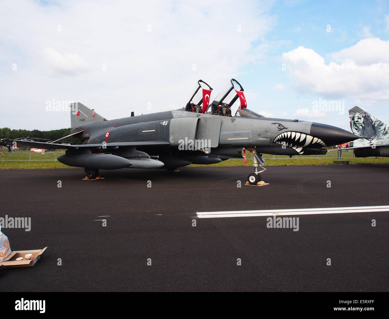 The McDonnell Douglas F-4E-2020 Terminator, serial 73-1020, is a ...