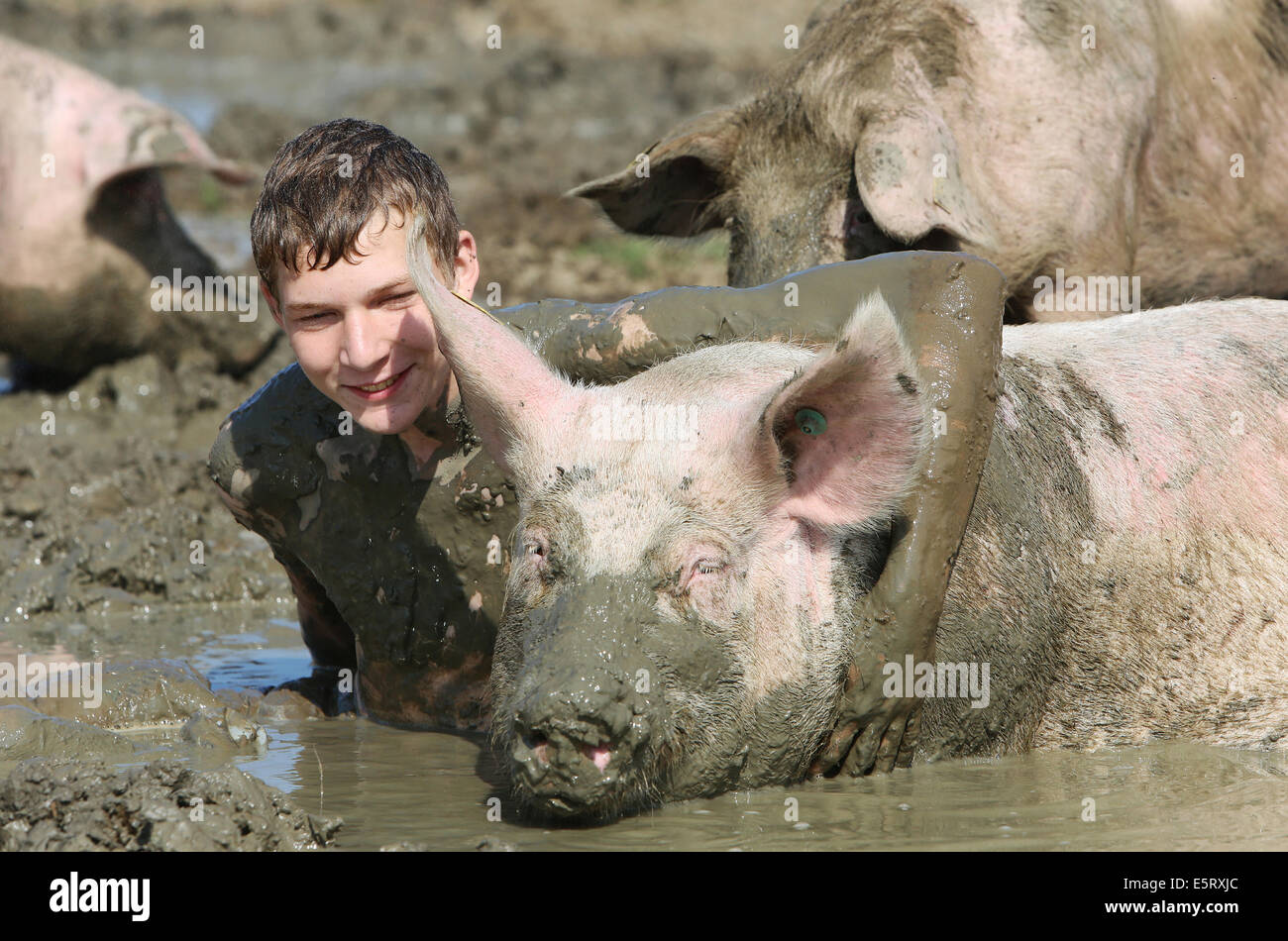 Pig farmer hi-res stock photography and images - Alamy