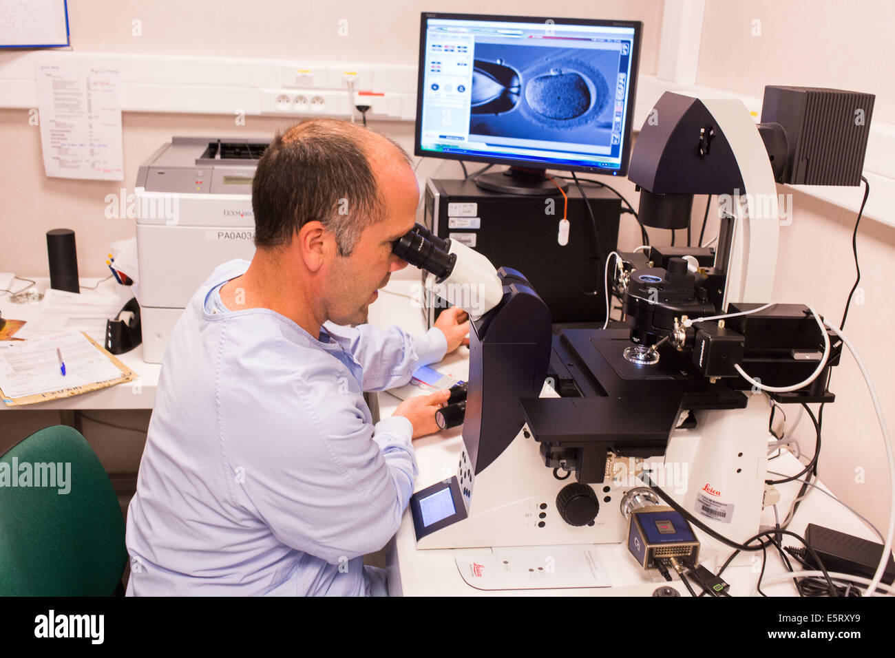 Technician using a light microscope to inject human sperm into a human ...