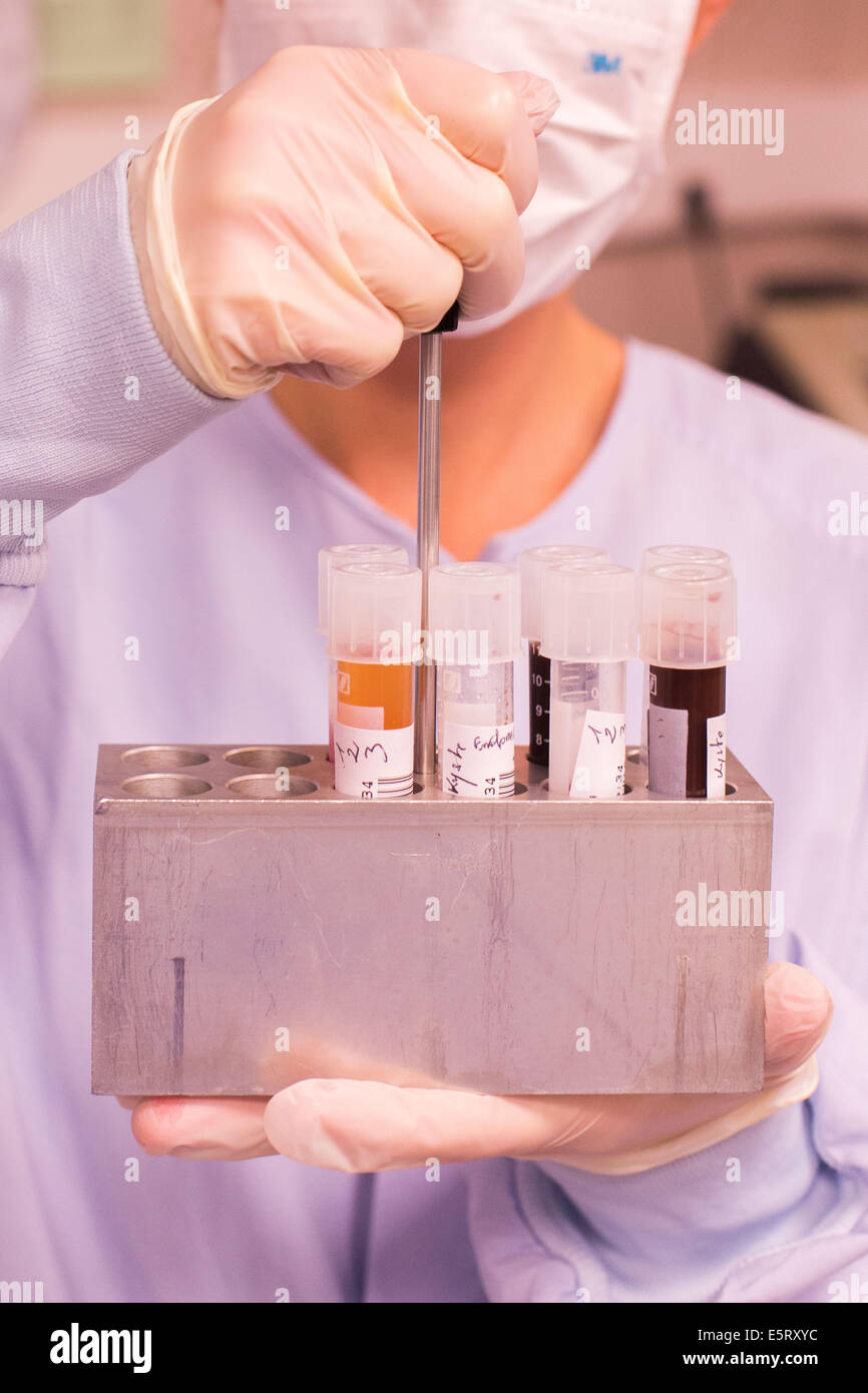 Oocytes hi-res stock photography and images - Alamy