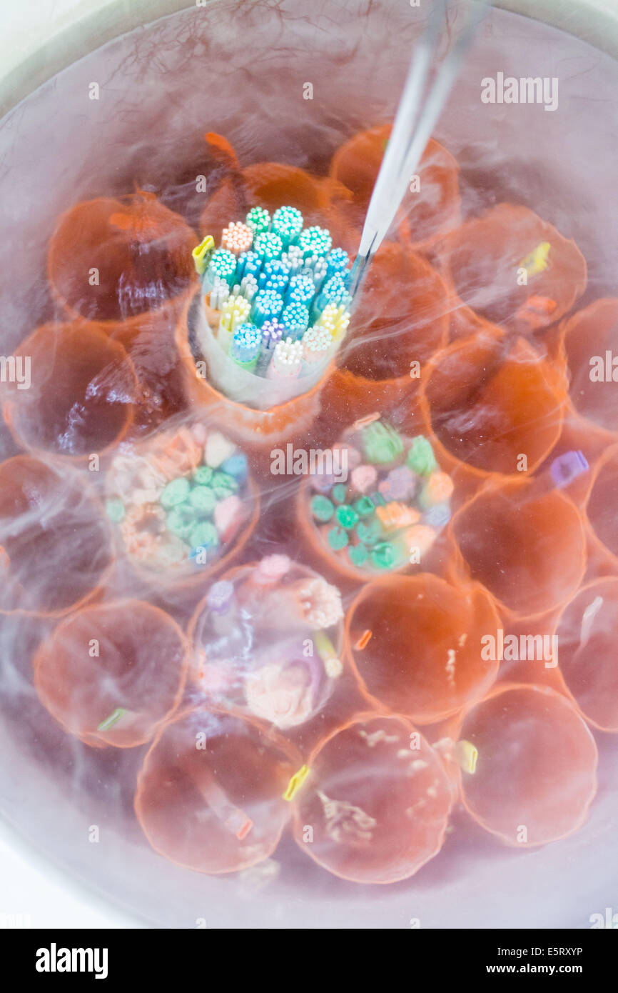 Cryopreservation of frozen sperm straws and embryos in liquid nitrogen ...