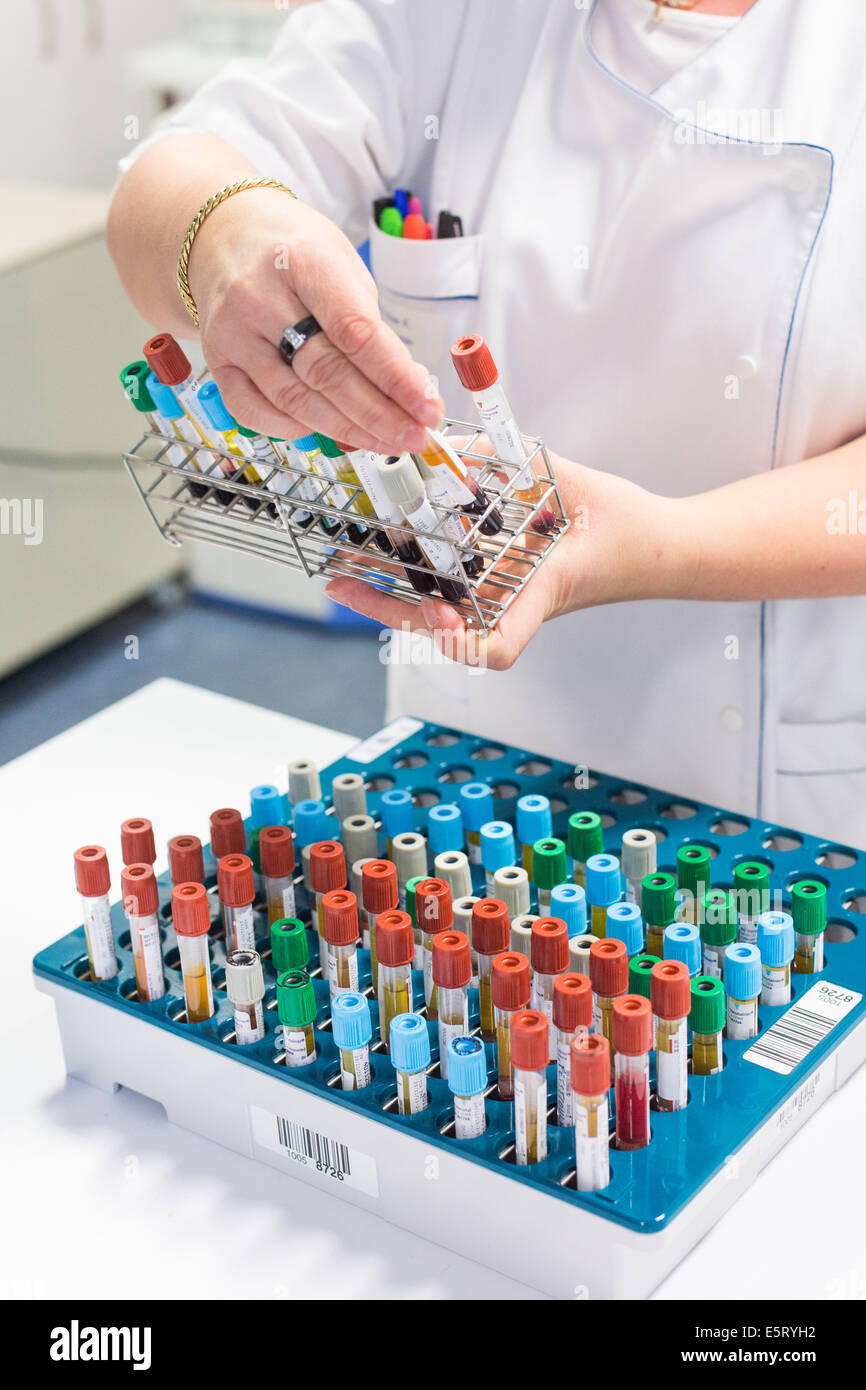 Female technician handling blood samples in a medical laboratory Stock ... Female technician handling blood samples in a medical laboratory Stock ...
