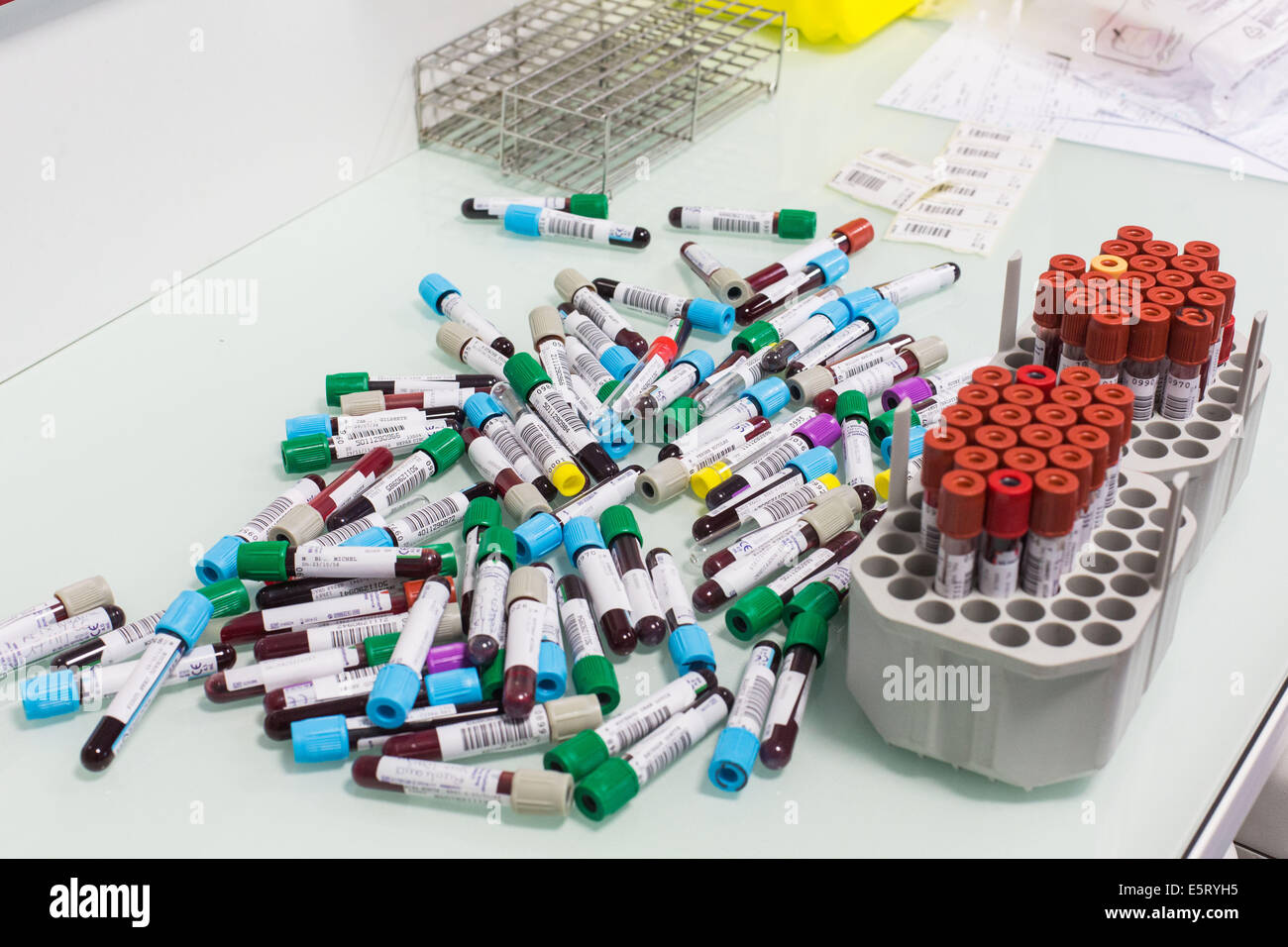 Blood samples in a medical laboratory Stock Photo - Alamy