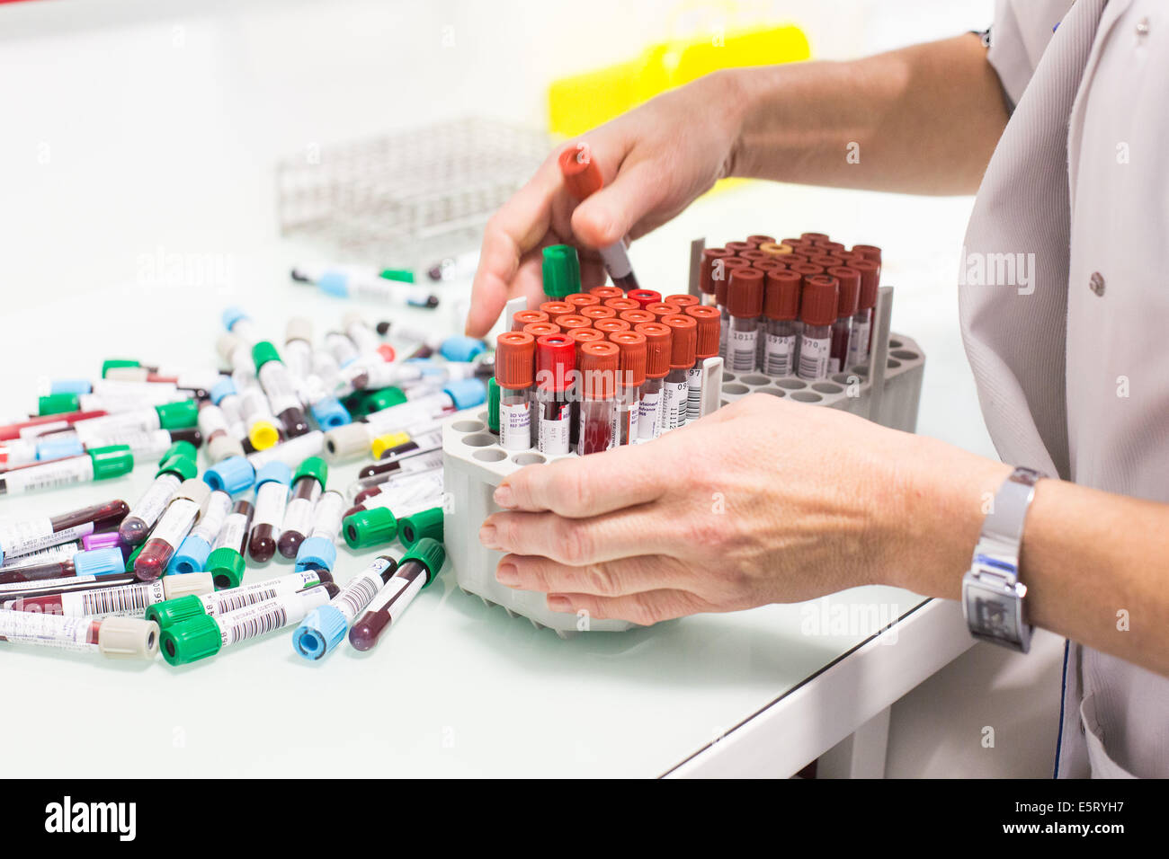 A laboratory assistant testing samples hi-res stock photography and ...