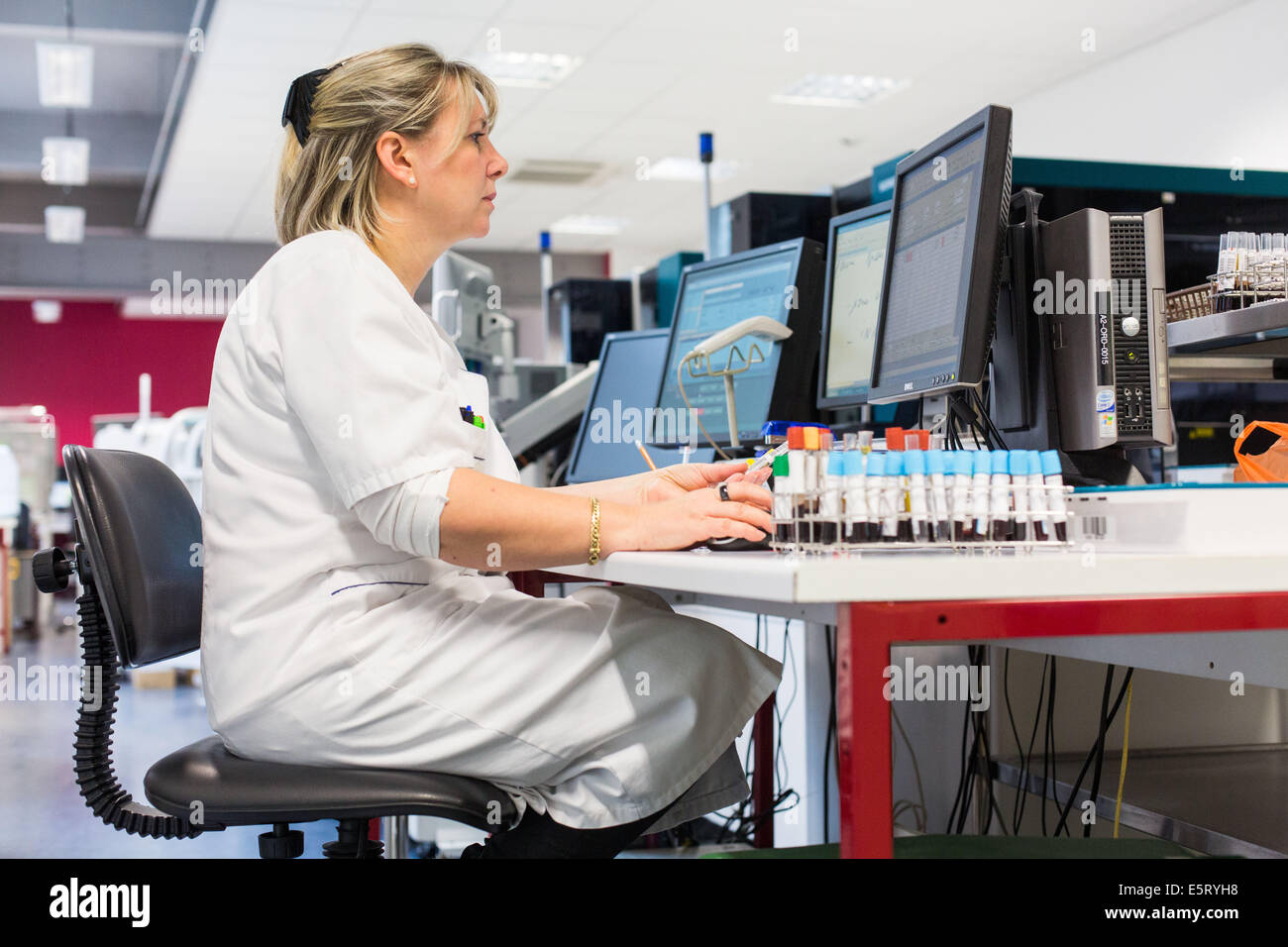 Female technician processing blood samples in a medical laboratory ... Female technician processing blood samples in a medical laboratory ...