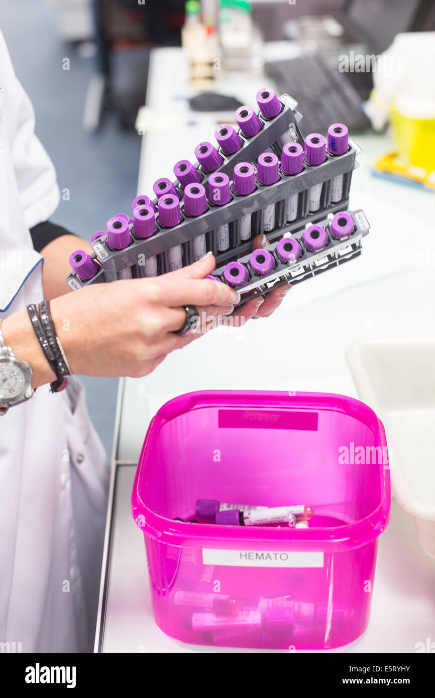 Blood samples in a medical laboratory Stock Photo - Alamy