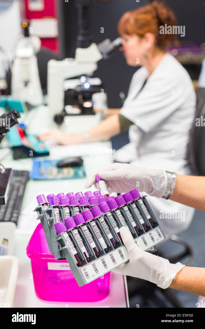 Blood samples in a medical laboratory Stock Photo - Alamy