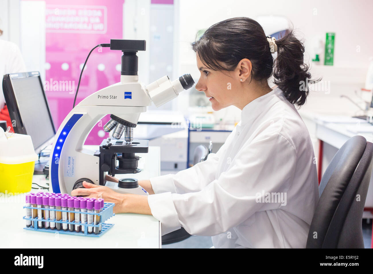 Blood smear microscope hi-res stock photography and images - Alamy