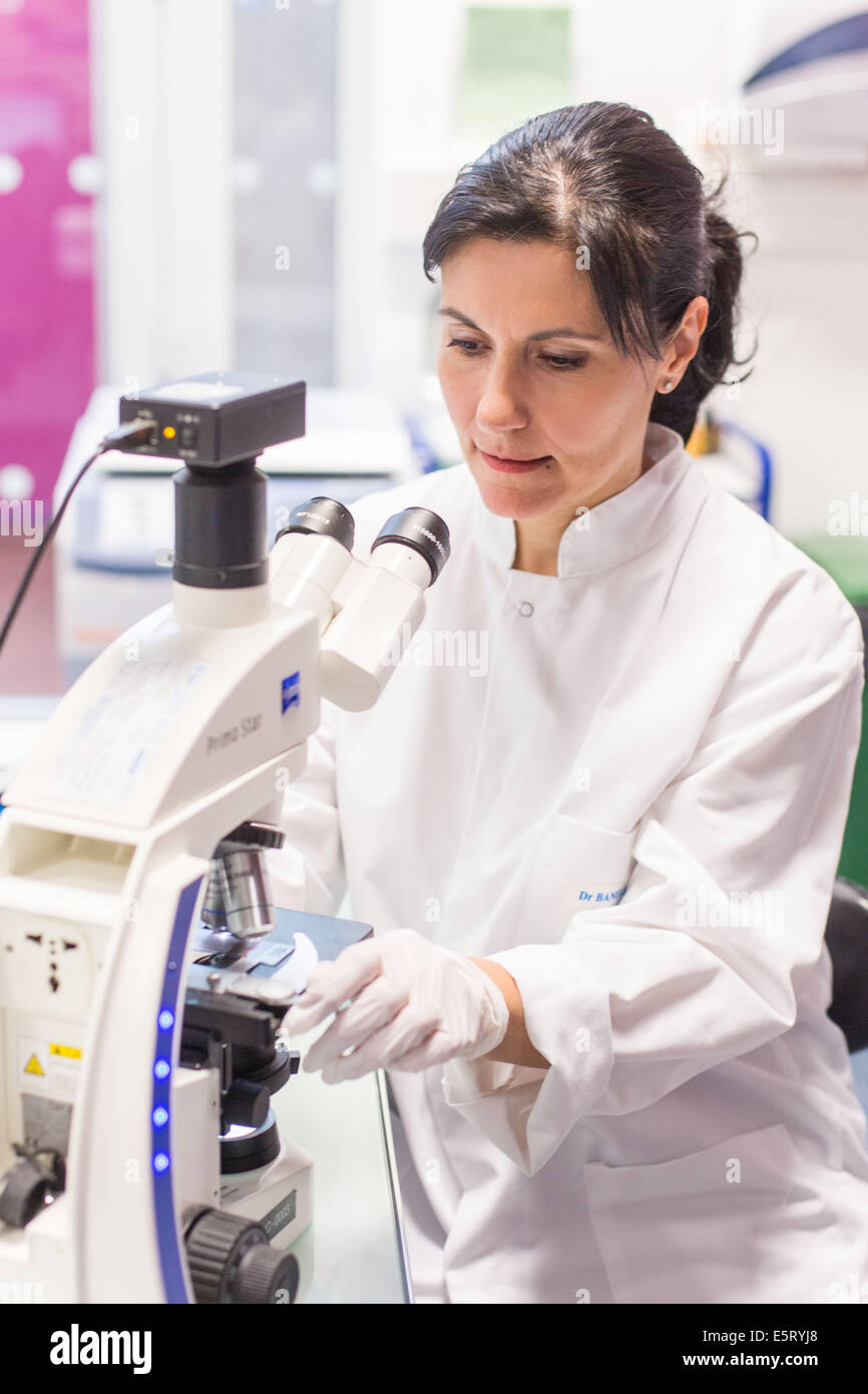 Blood smear light microscope hi-res stock photography and images - Alamy