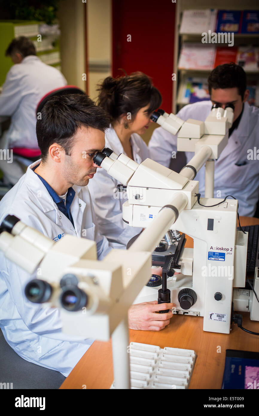 Anatomopathology diagnosis, Tenon hospital, Paris, France Stock Photo ...