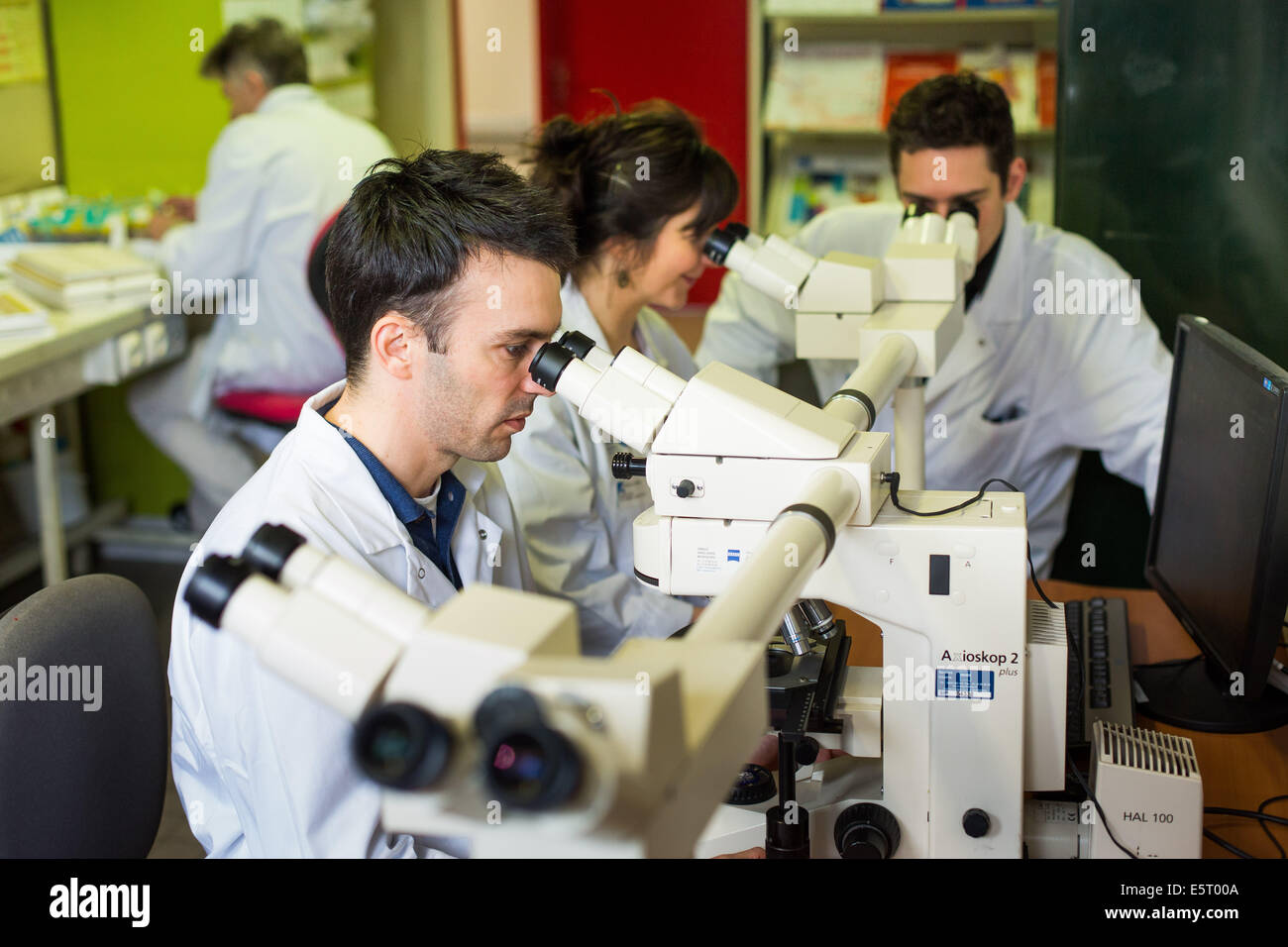 Anatomopathology diagnosis, Tenon hospital, Paris, France Stock Photo ...