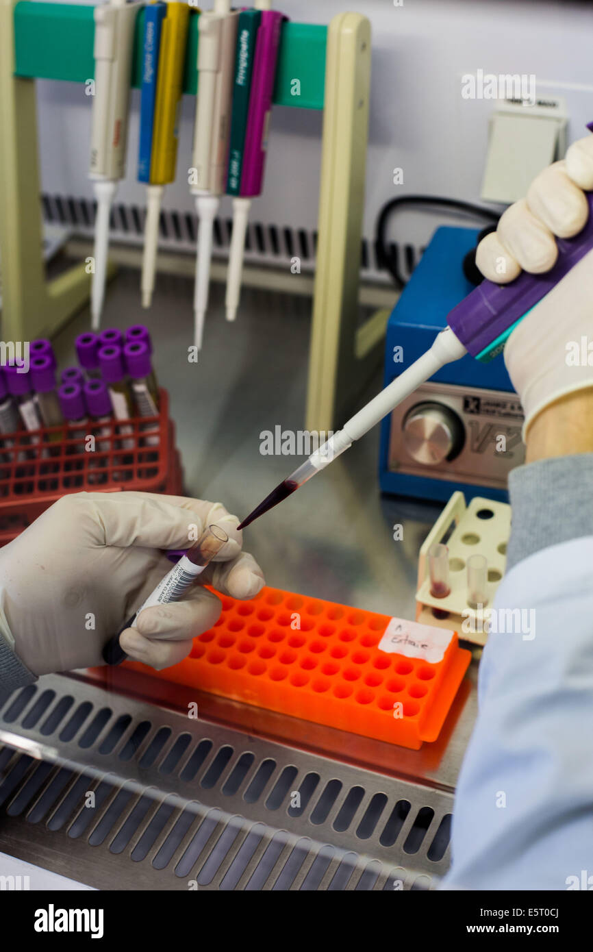 Researcher in a laboratory of the Centre de Reference National des ...