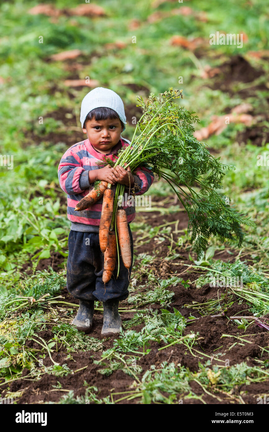 Guatemalan child in a field Stock Photo - Alamy