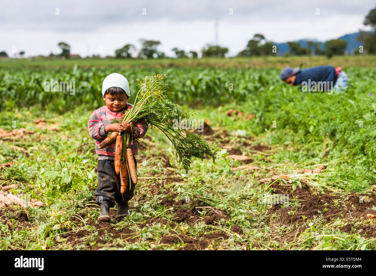 Child food poverty hi-res stock photography and images - Alamy