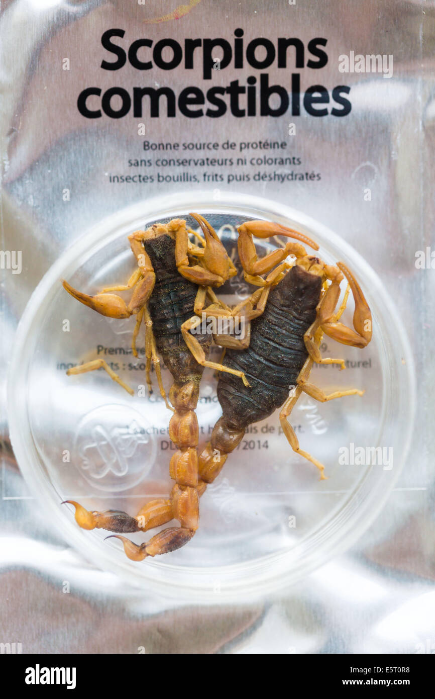 Edible insect food entomophagy eating hi-res stock photography and ...