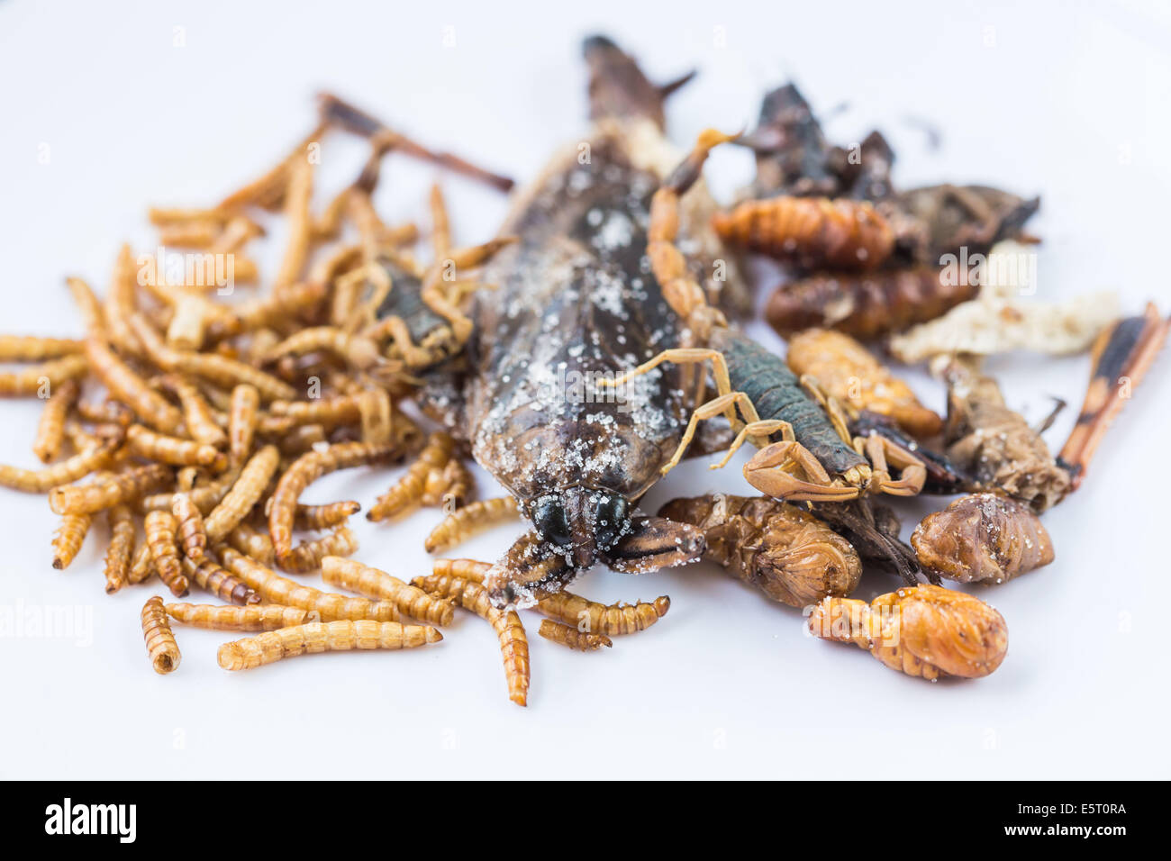 Insects edible hi-res stock photography and images - Alamy