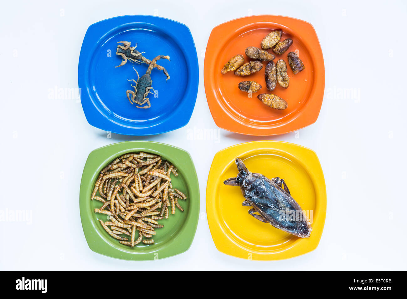 Eat edible bug hi-res stock photography and images - Alamy