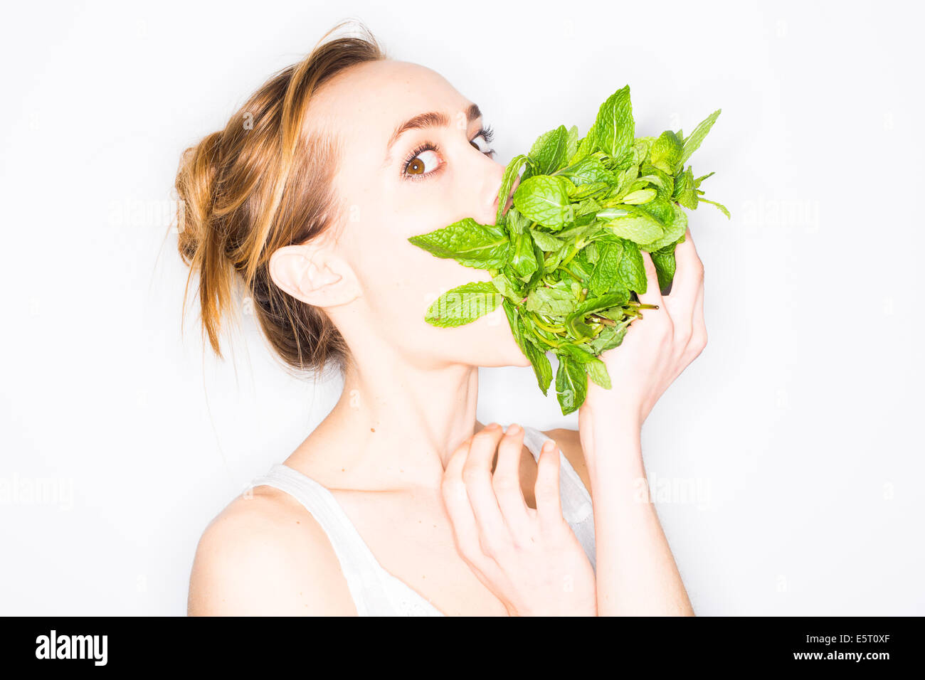 Sense plant Cut Out Stock Images & Pictures - Alamy